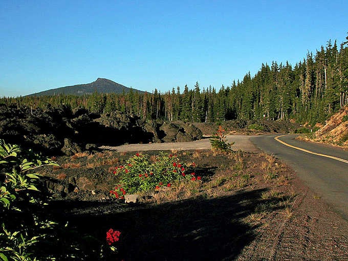 Wildflowers bloom defiantly among volcanic rubble, proving life finds a way even in the harshest landscapes imaginable.