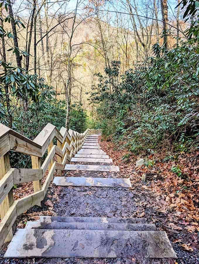 These wooden steps climb toward the roar of falling water, promising an encounter with one of nature's most powerful displays.