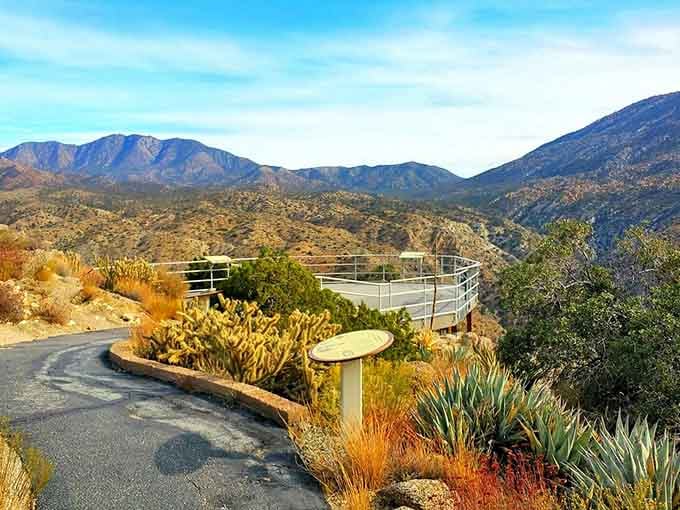 Desert plants frame mountain views in a landscape where succulents and sage create their own rugged beauty.