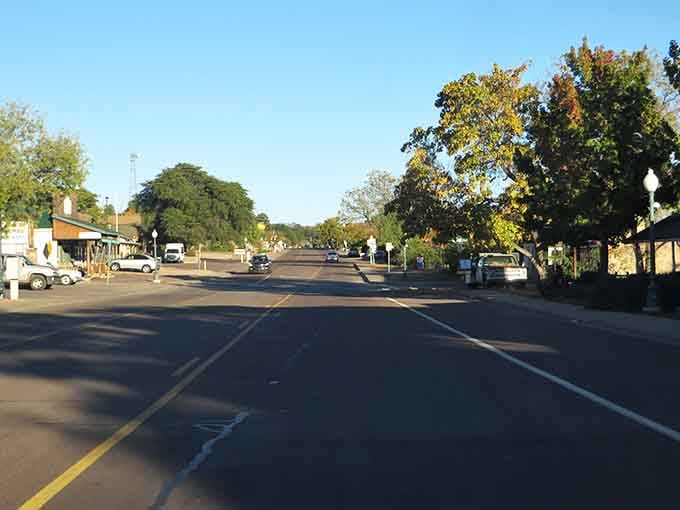 Shade trees create natural canopies over streets where parking is easy and stress is optional.
