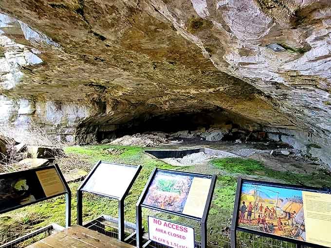Interpretive displays tell stories of ancient peoples who called this massive rock shelter home for ten thousand years.