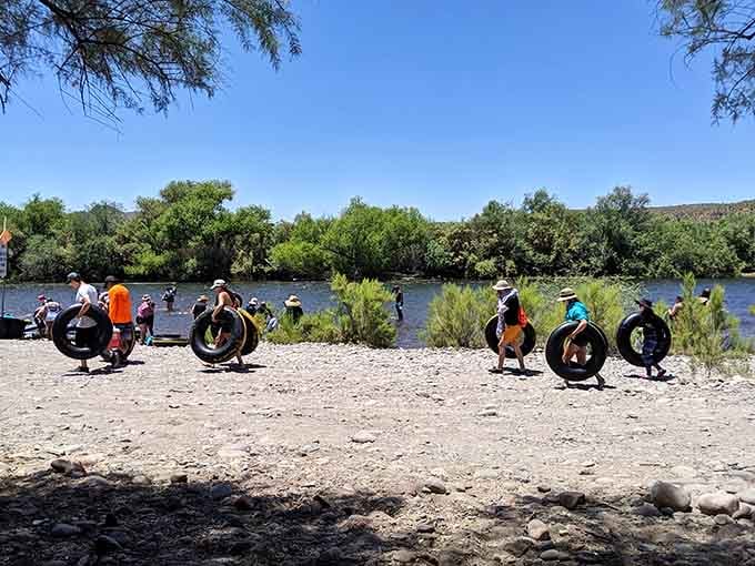 Tubes lined up on the sandy shore like eager students waiting for the bell to ring.