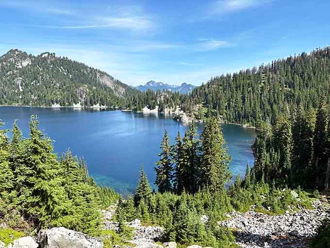 Evergreen forests frame the alpine lake like nature's own picture frame, no museum admission required.