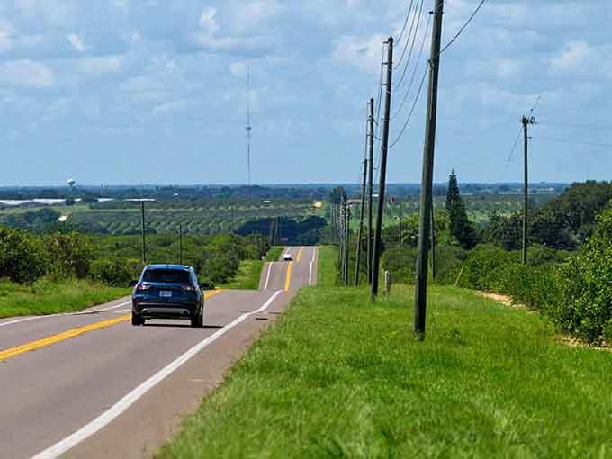 Gentle hills rise and fall along this route, proving Florida isn't completely flat despite what everyone back home thinks.