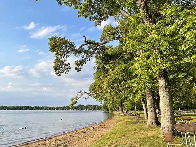 The gentle curve of shoreline and towering trees create a postcard-perfect scene that makes you want to stay forever.