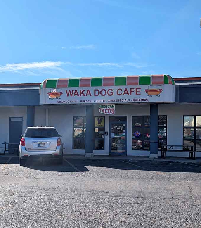 The bold awning announces dual specialties proudly: authentic Chicago-style hot dogs meet Mexican tacos under one happy roof.