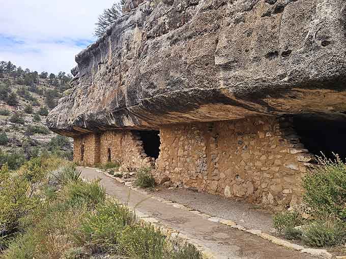 The paved trail winds past perfectly preserved cliff dwellings where families once watched sunsets from these very same ledges.