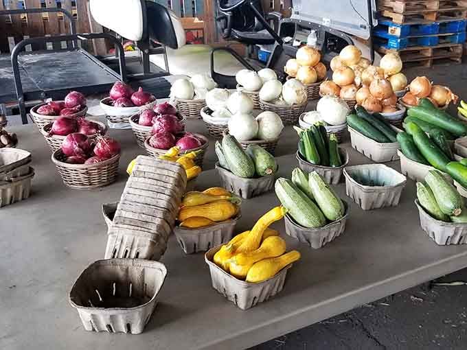Rainbow rows of fresh vegetables arranged in baskets like an artist's palette made entirely of food.