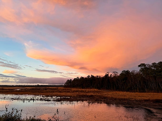 Sunsets here paint the sky in colors that make your phone's camera weep with inadequacy and joy.