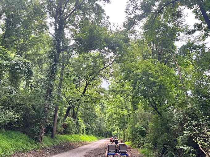Canopy of trees creates nature's own cathedral as rail bikers disappear into dappled sunlight like woodland explorers.