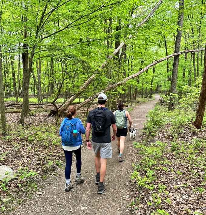 Nothing beats hiking with good company, where the trail ahead matters less than who's walking beside you.
