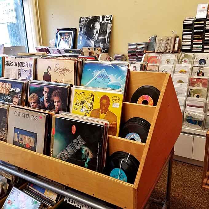 Vinyl records stacked like edible history, from Cat Stevens to Asia, waiting to soundtrack someone's nostalgia.