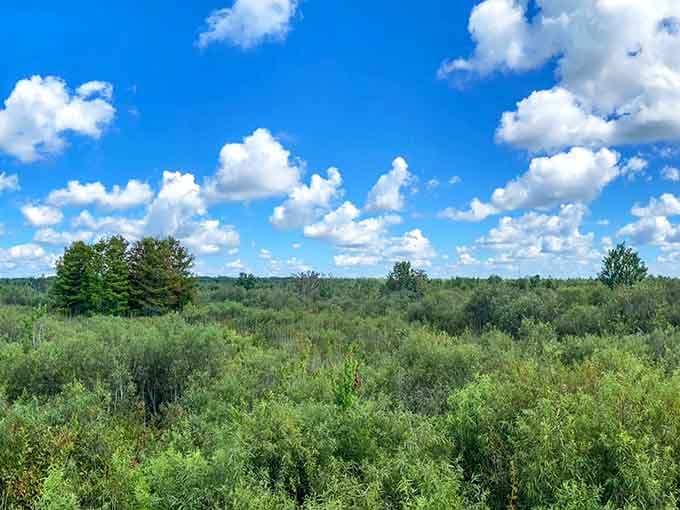 Big sky country meets swampland in a view that proves Florida's natural diversity is seriously underrated by outsiders.