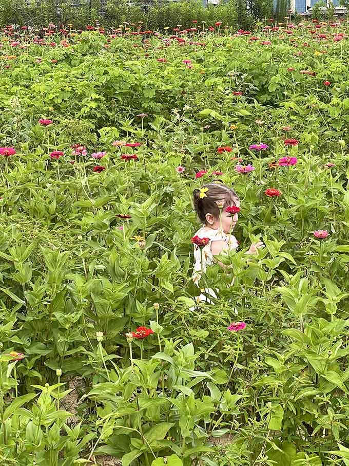 Little wanderer proves that getting lost in a flower field beats screen time every single day.