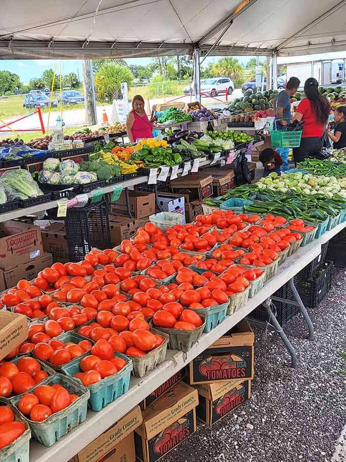 Fresh tomatoes and produce prove this market feeds both your wardrobe and your dinner table equally well.