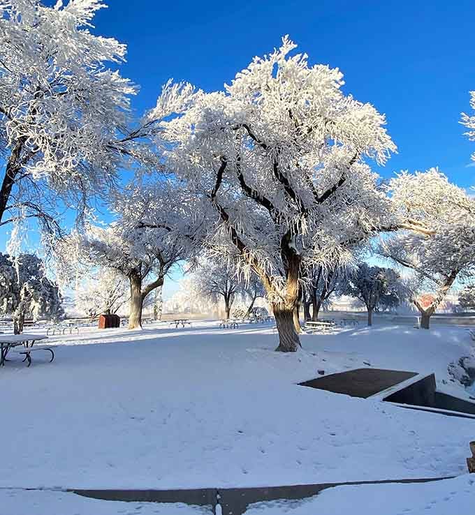 Yes, that's actual snow in West Texas, proving this desert oasis looks magical in every single season.
