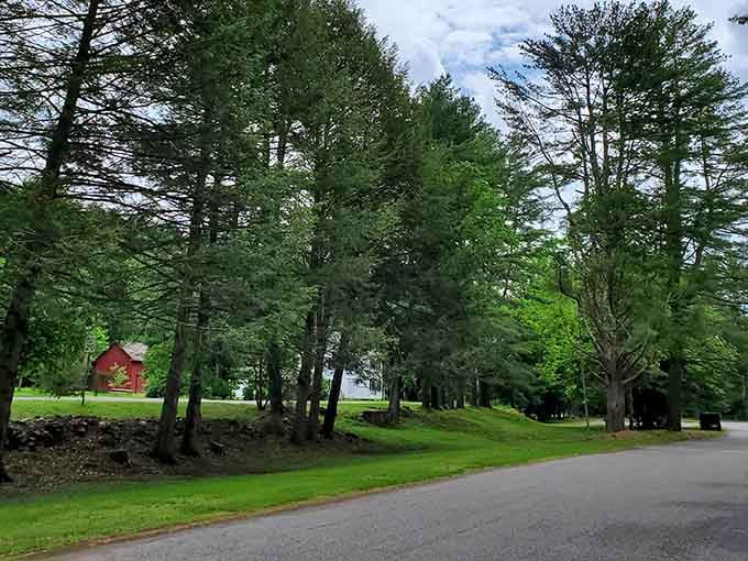 These peaceful roads wind through forests that have been standing longer than your favorite excuses for staying home.