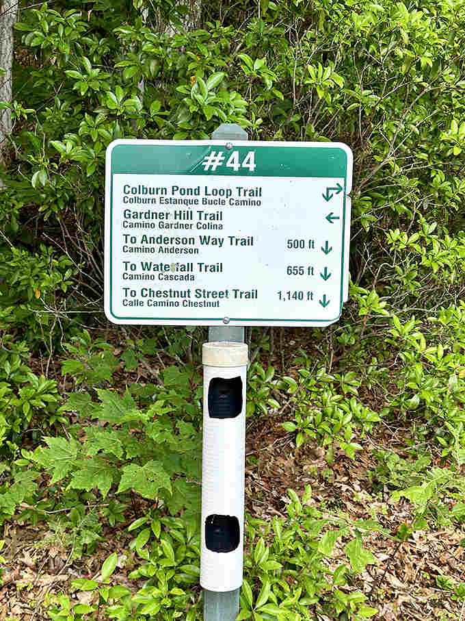 Trail markers guide your adventure through Barrett Park's network, because getting lost is only fun in the movies.