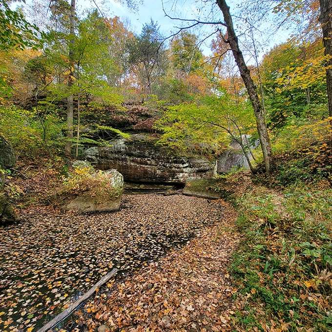 Fall colors transform the canyon into something Bob Ross would've painted during his most ambitious creative phase ever.