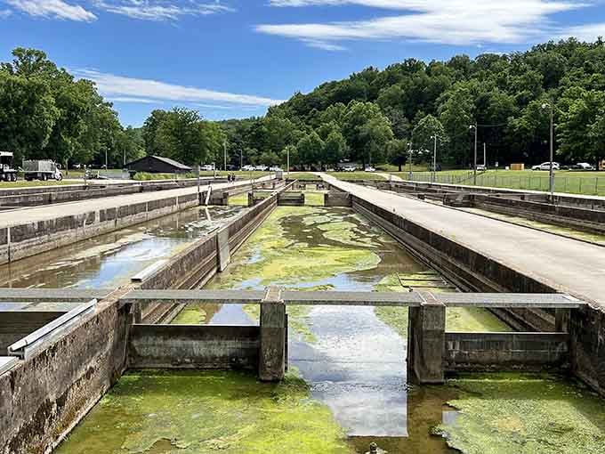 These concrete raceways are basically trout condominiums, complete with flowing water views and all-you-can-eat meal plans.