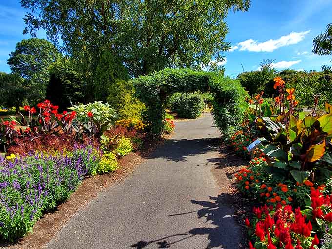 Vibrant blooms frame this garden pathway like nature's own welcome mat to somewhere absolutely enchanting.