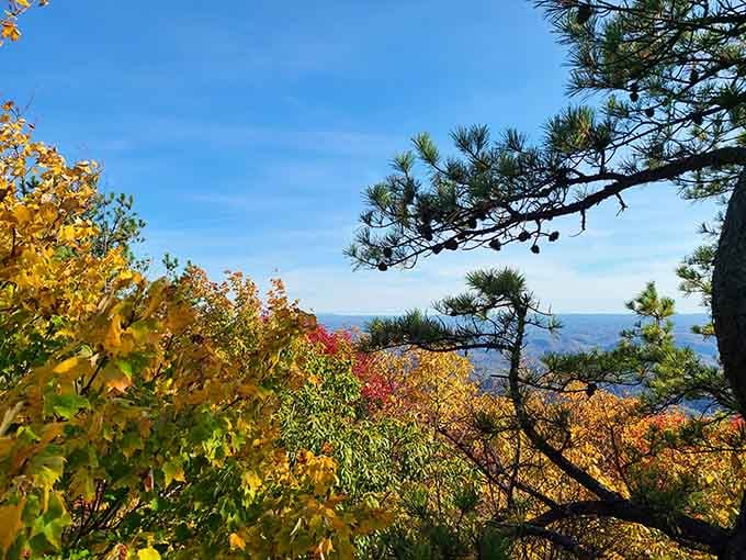 Brilliant fall foliage frames distant ridges in nature's own masterpiece, better than any museum painting.