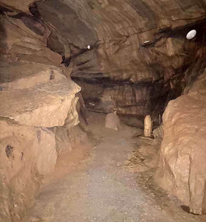 Raw limestone walls frame the pathway forward, where shadows dance and every turn promises another geological surprise waiting to astound.