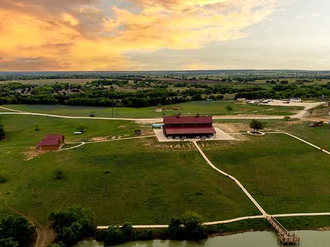 Sunset paints the property in golden light, revealing just how much Texas landscape these gentle giants call home sweet home.