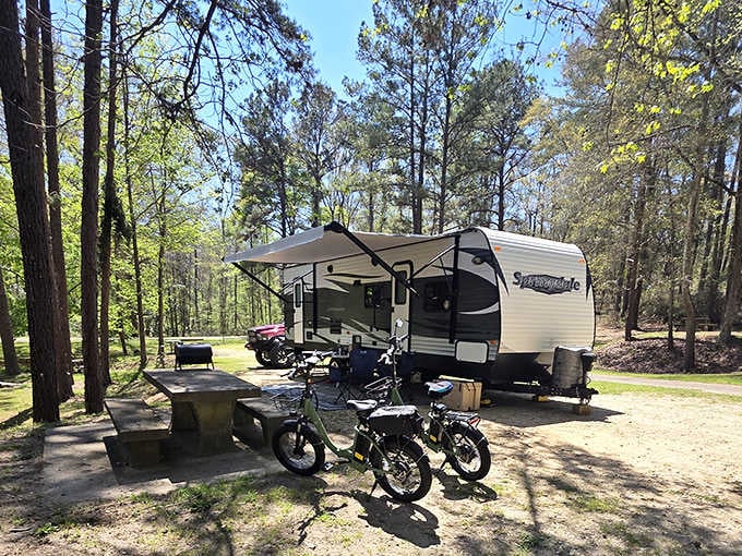 RV camping among the pines means waking up steps away from that incredible blue water every single morning.