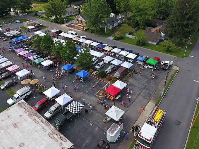 The Transylvania Farmers Market brings together locals and visitors who appreciate things made with care, whether produce or vintage finds.