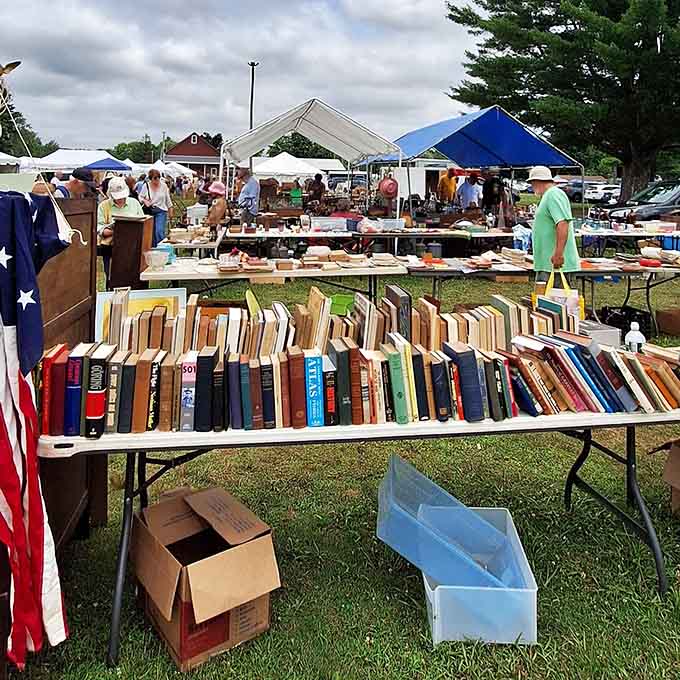 Books sprawled on tables under sunny skies, inviting bibliophiles to dig through literary treasures and forgotten bestsellers all afternoon.