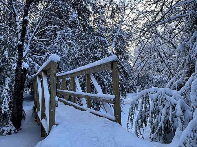Winter transforms the footbridge into something from a snow globe, minus the tourists shaking everything up constantly.