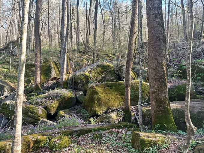 Moss-covered boulders and crystal-clear streams make you forget what year it is, honestly.