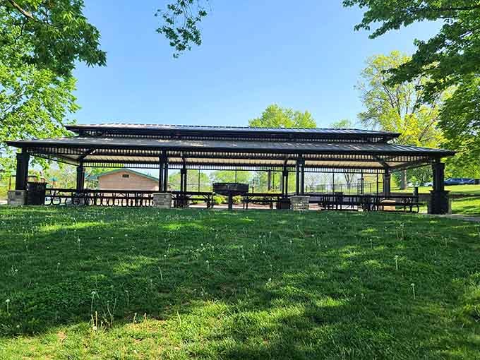 This pavilion hosts everything from quiet lunches to family reunions that get wonderfully, joyfully loud.