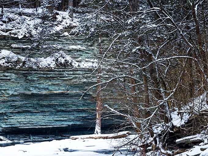 Winter transforms the creek into a serene wonderland, though fossil hunting requires serious dedication now.