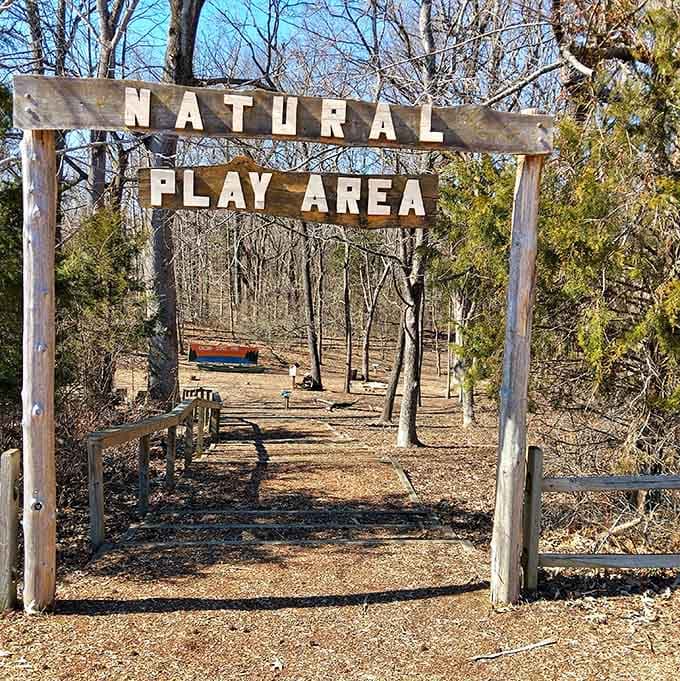A natural play area where kids can actually be kids, dirt and all, without anyone panicking.