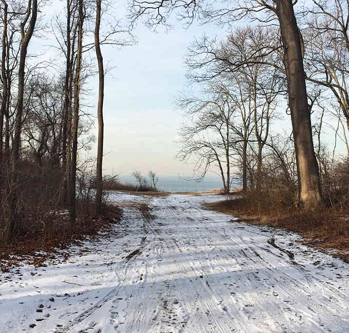 Winter transforms the trails into a serene wonderland that makes you forget you're still on Long Island.
