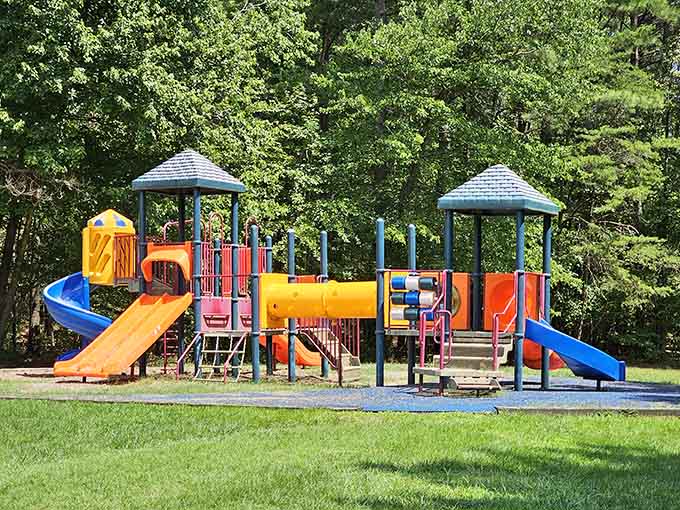 Yes, there's a playground, because even nature lovers need to keep the little ones entertained somehow.