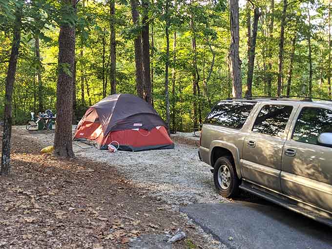 Campsites nestled in the woods where your biggest concern is which s'more recipe to try tonight.