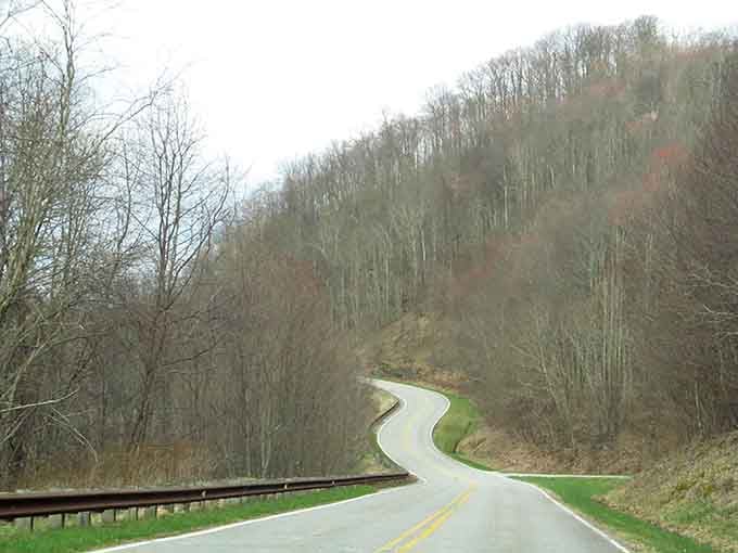 The road ahead curves like a question mark, inviting you to discover what's around the bend with childlike anticipation.