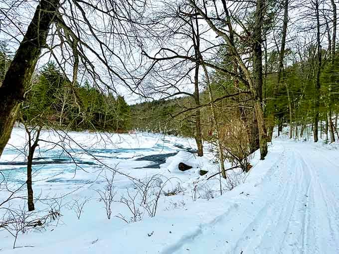 Winter transforms the gorge into a frozen wonderland where the river still flows beneath ice sculptures.