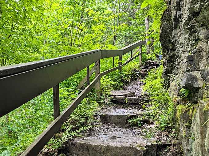 Stone and timber stairs guide you down to different viewpoints, each one better than the last somehow.