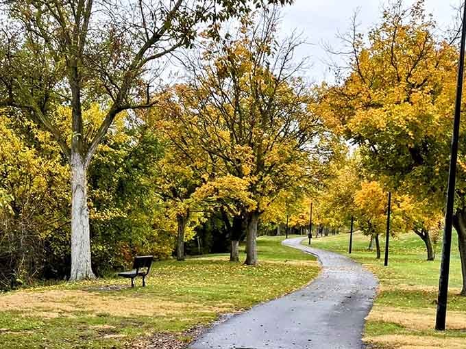 Tree-lined paths invite leisurely strolls where the only thing you're racing against is your own desire to sit down.