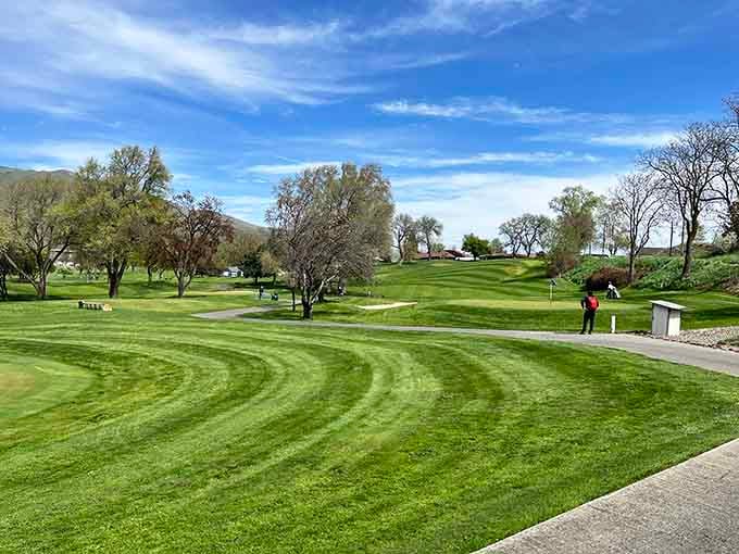 Golf courses here come with scenery that'll distract you from your swing, and that's perfectly acceptable.