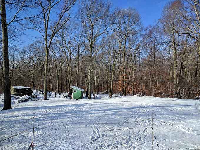 Winter transforms the camping areas into a snowy wonderland for the truly adventurous cold-weather enthusiasts out there.