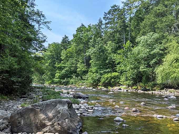 The Salmon River flows through the state forest like it's got all the time in the world, because it does.