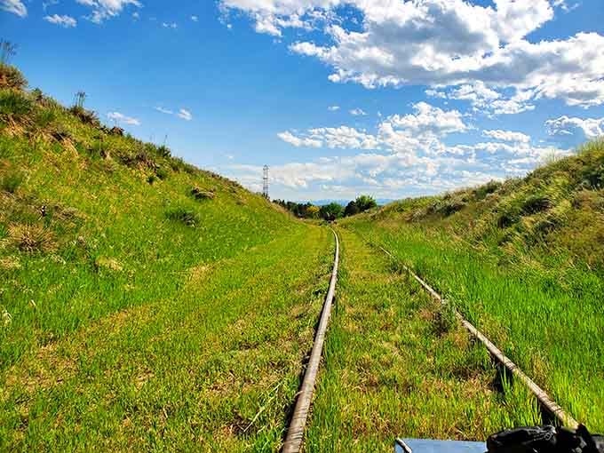Tracks disappear into lush greenery while mountains stand guard in the distance, perfectly framing your journey.