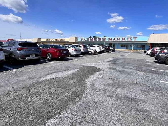That packed parking lot tells you everything you need to know about this place's popularity among savvy shoppers.