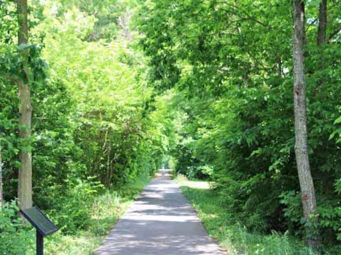 Tree-canopied paths perfect for walks where you actually hear birds instead of sirens. Imagine that luxury daily.