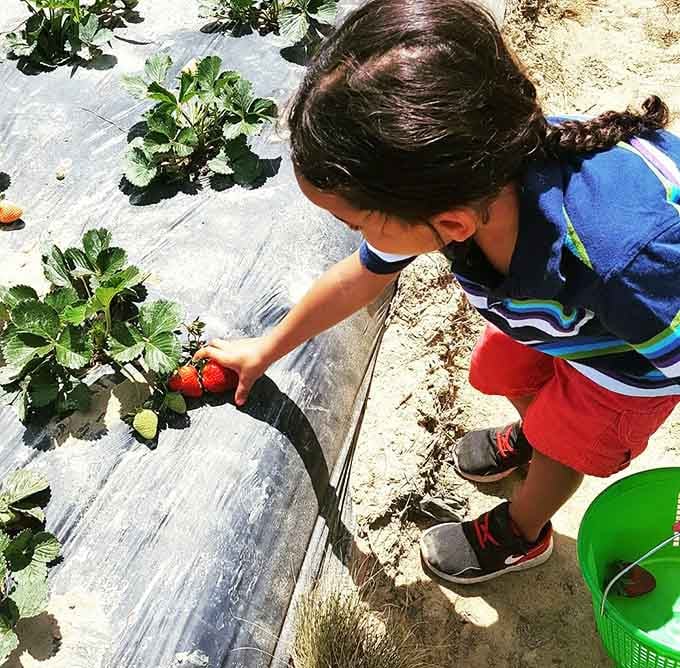 Small hands, big discoveries, learning that the best things in life require a little dirt.